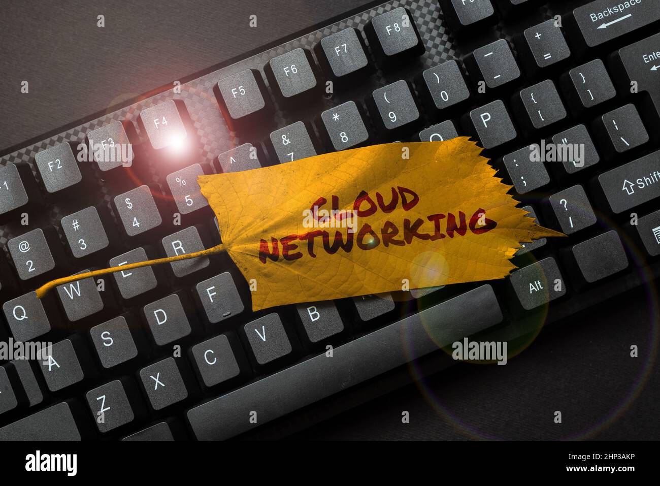 Text caption presenting Cloud Networking, Business concept is term ...