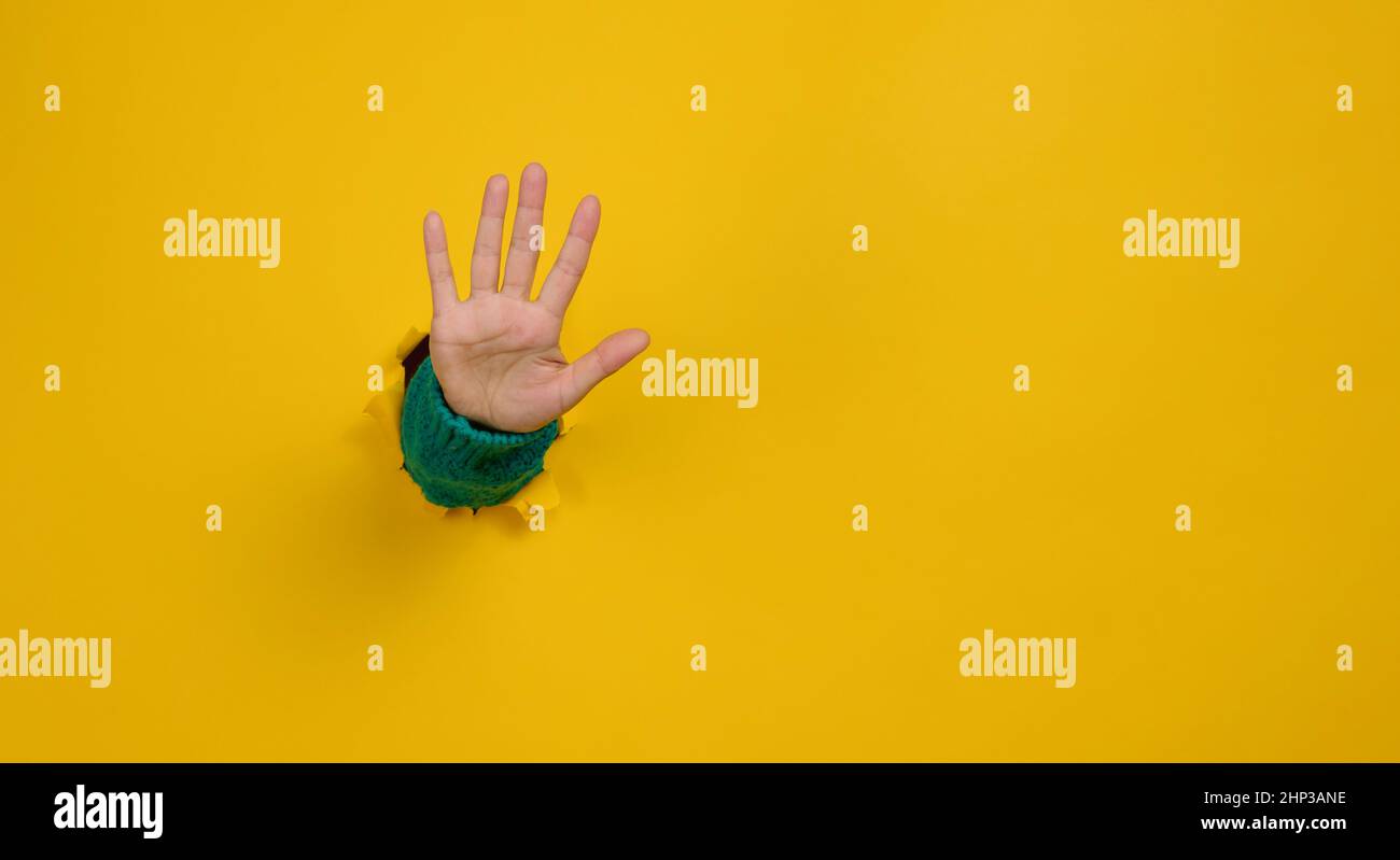 woman's hand with an open palm sticks out of a torn hole in yellow ...