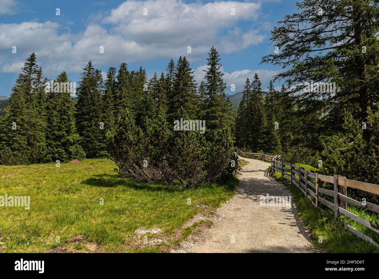 Landscapes, woods, narrow streets of the Dolomite Alps Stock Photo - Alamy