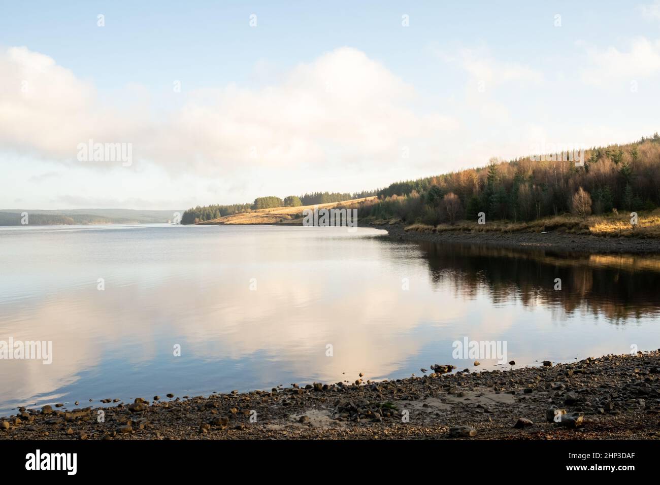 Kielder England: 11th January 2022: Warm winter sun shining on lake ...