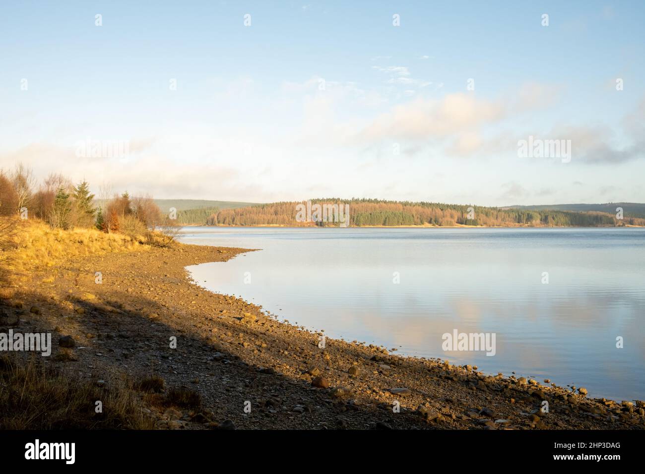 Kielder England: 11th January 2022: Warm winter sun shining on lake ...