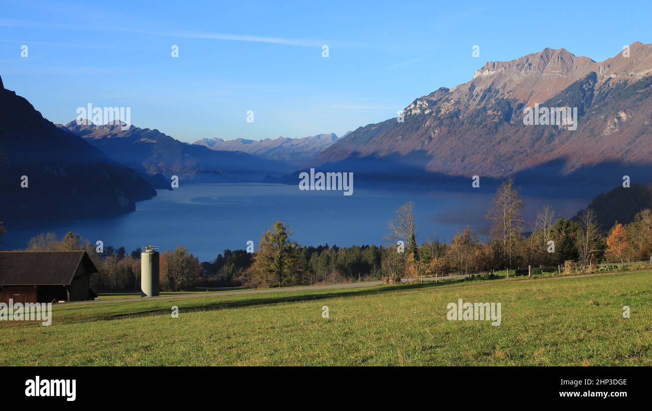 Lake Brienz in autumn Stock Photo - Alamy