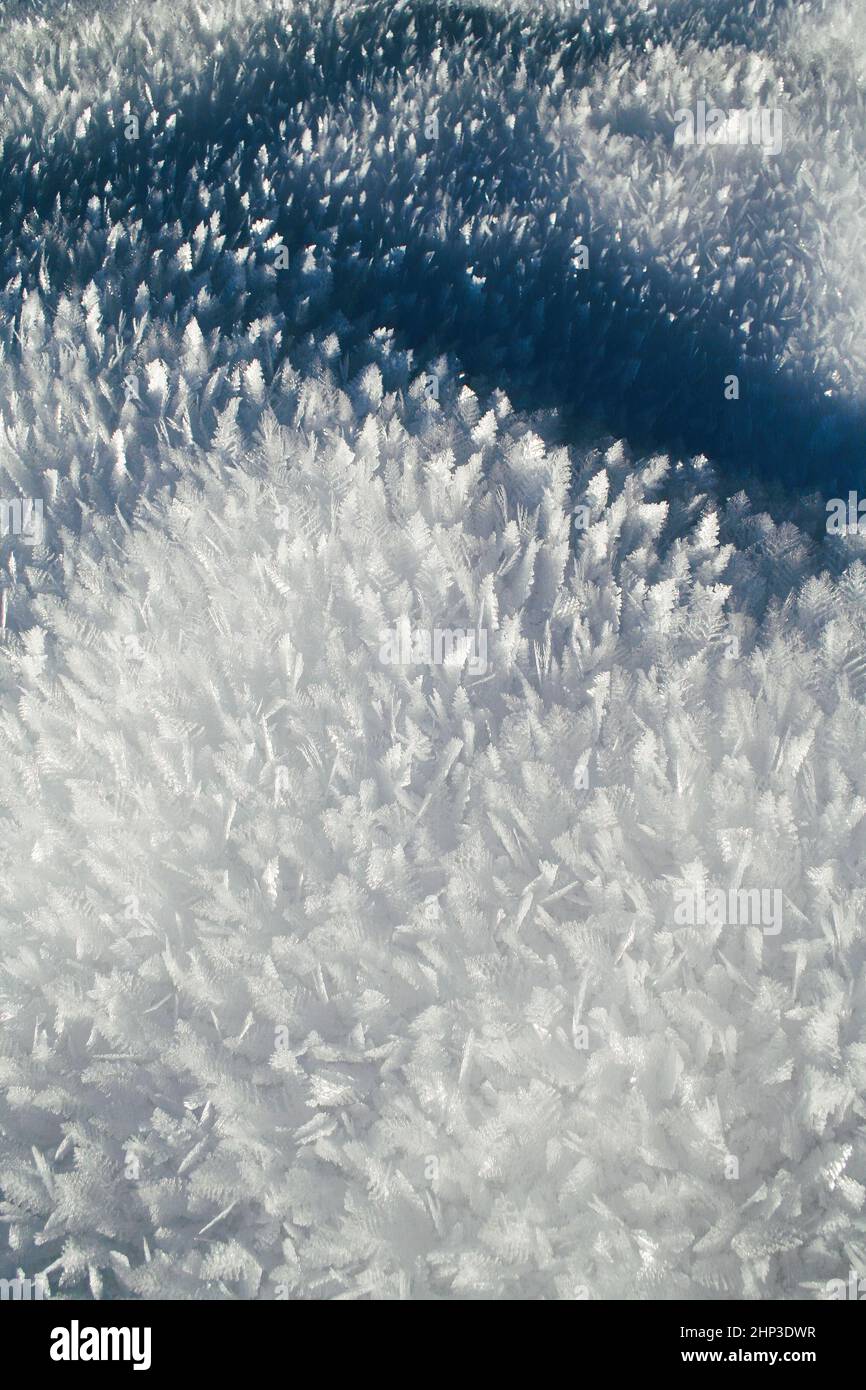 Vertical composition of white frozen snow flakes on the ground in ...
