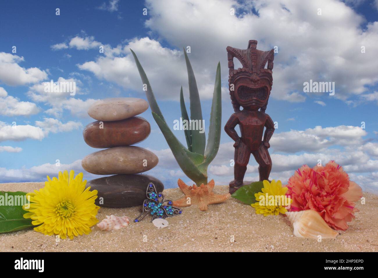 Mayan sea shells hi-res stock photography and images - Alamy