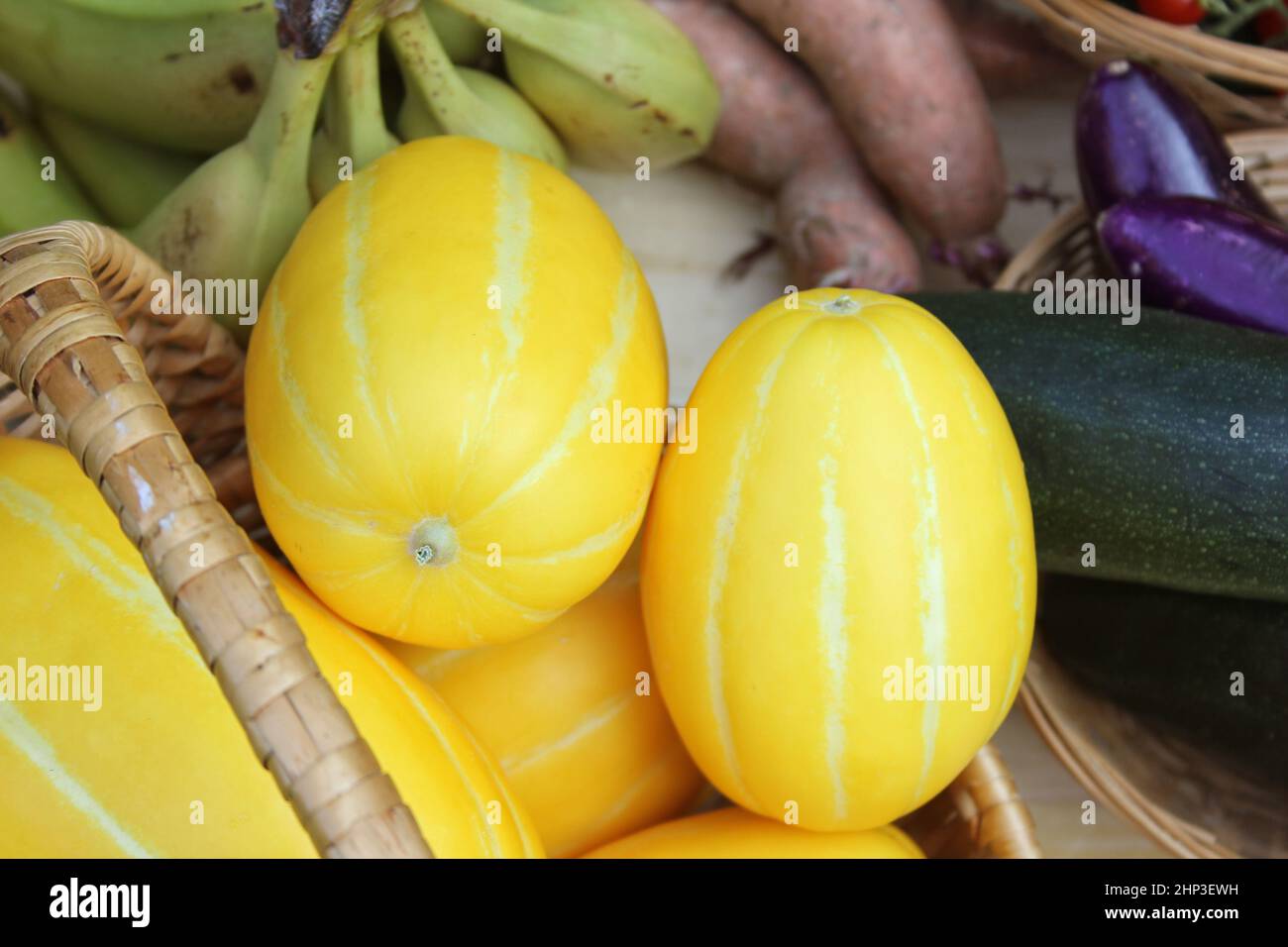 Summer Vegetable Harvest - Ginkaku Korean Melons with Eggplants and ...