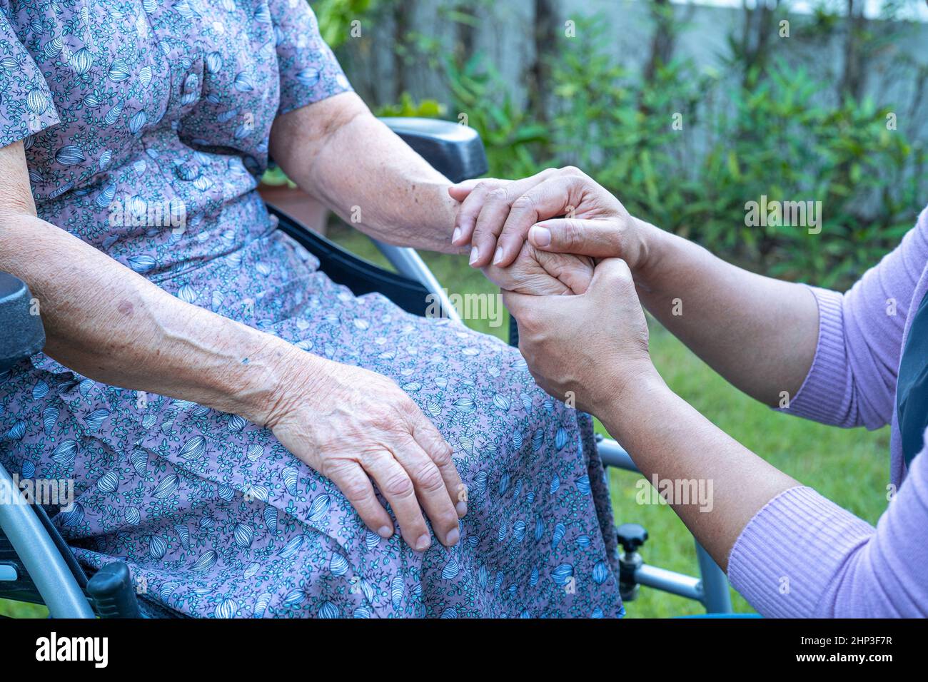 Caregiber holding hands Asian senior or elderly old lady woman patient ...