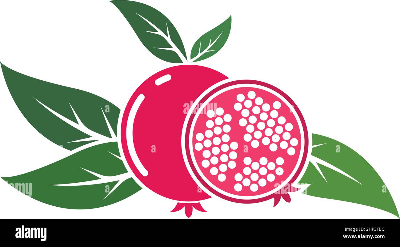 Pomegranate plant Stock Vector Images - Alamy