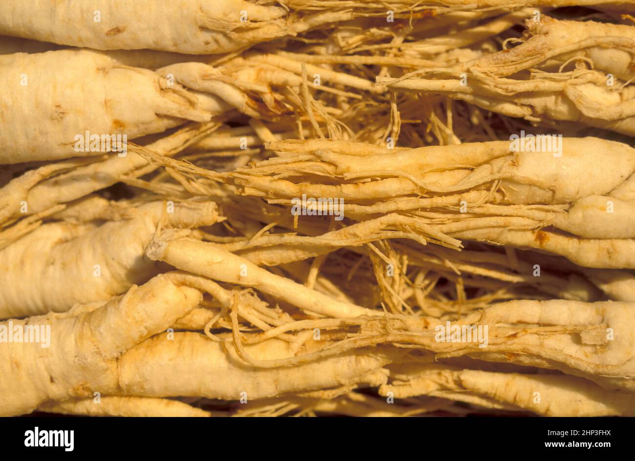 fresh ginseng at a chinese Medicine Market in the City center of Xian ...