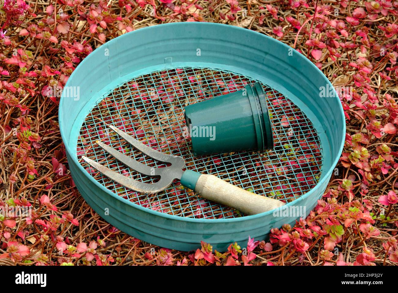 A colour photograph of a riddle containing a small fork and some ...