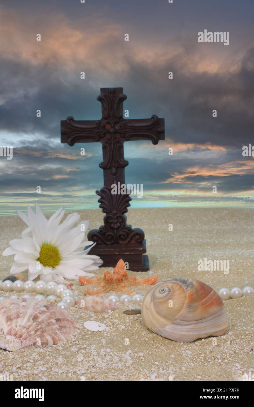 Sea Shells With Cross on Sand, Shallow DOF Focus on Shell Stock Photo ...
