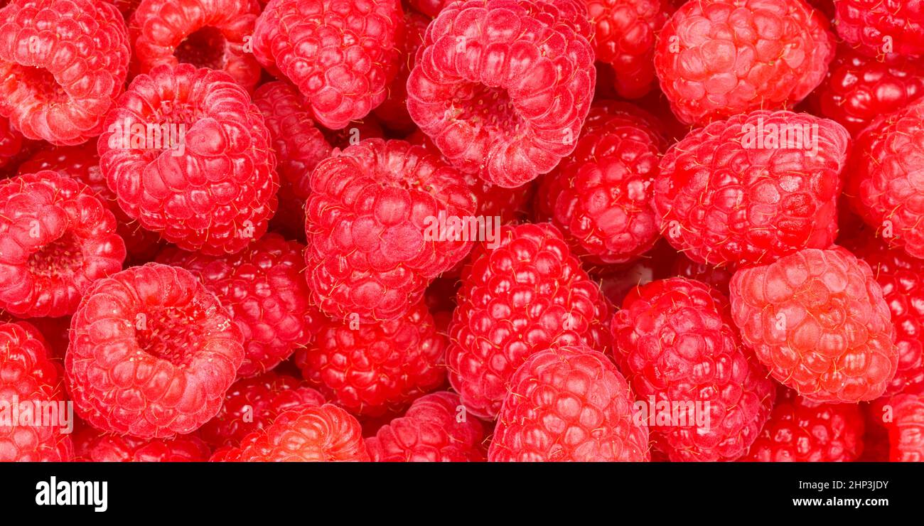 Raspberry berry raspberries berries fruits fruit background panorama ...