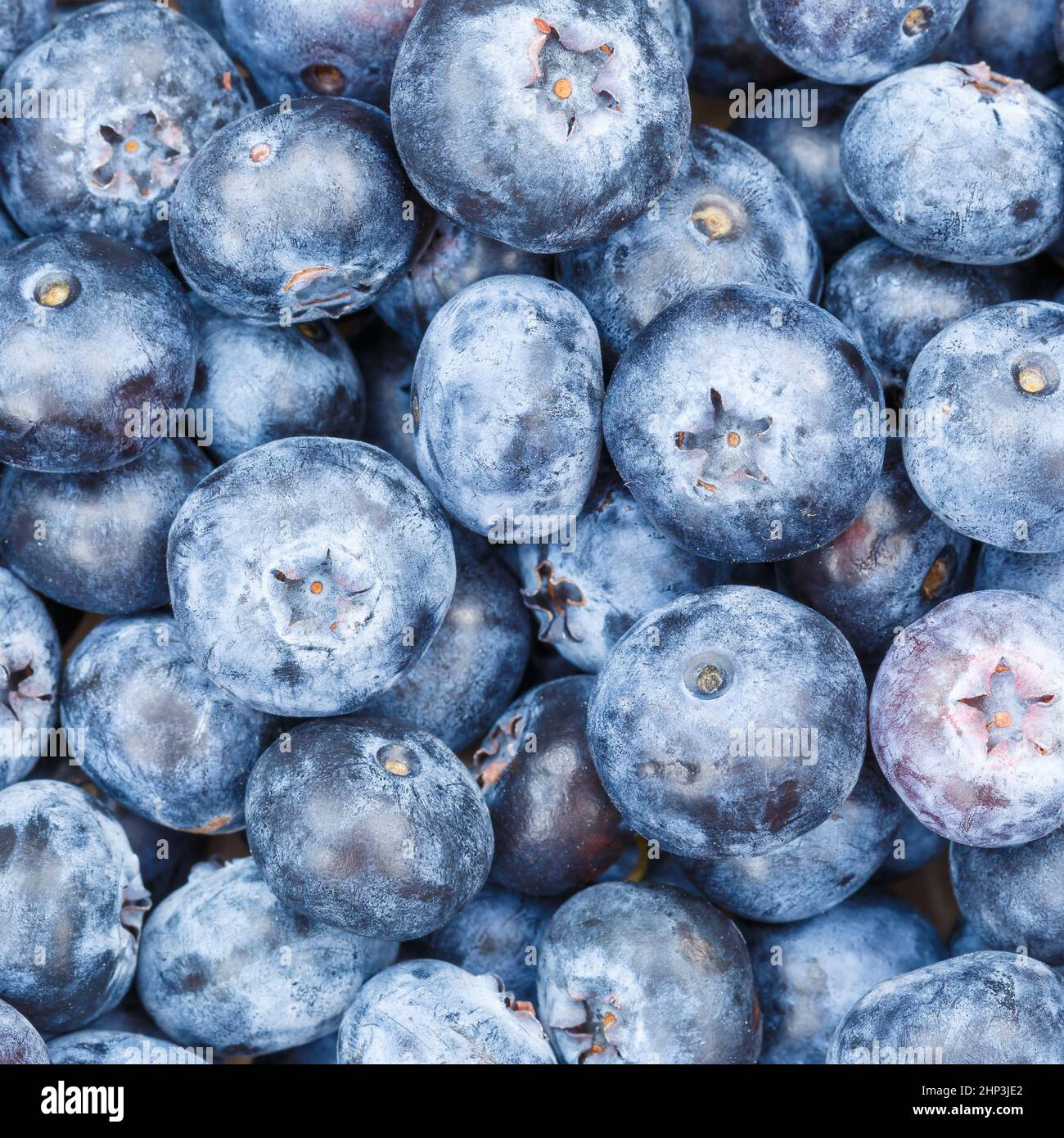 Blueberries berries fruits blueberry berry bilberry bilberries fruit ...