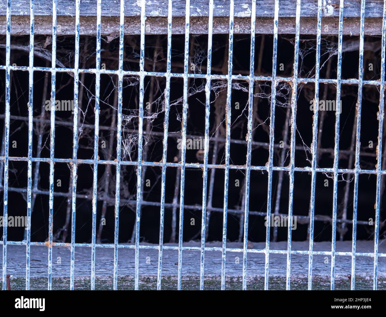 Metal lattice of the cage for keeping farm animals. Place for animals ...