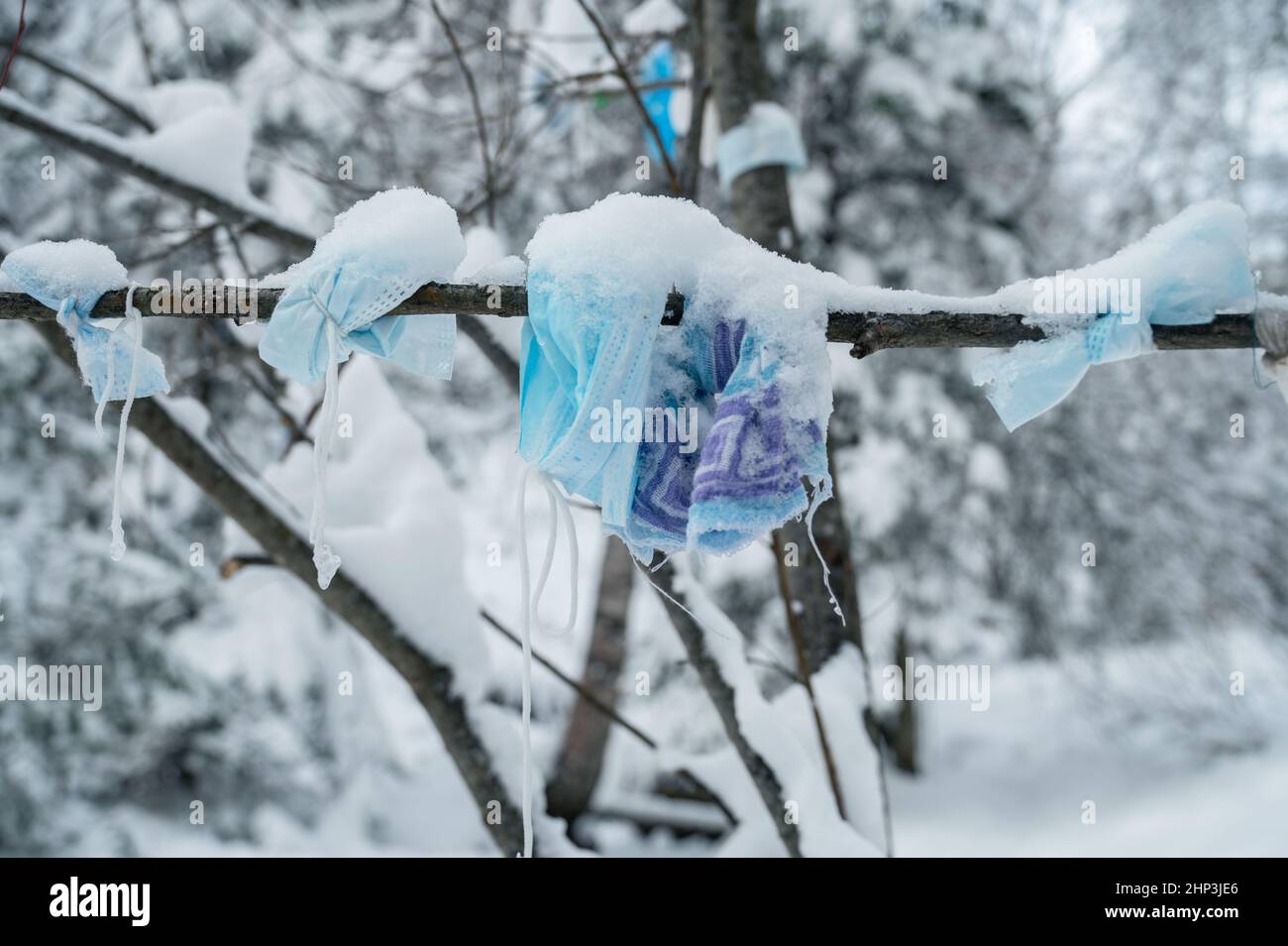 Surgical masks on trees in winter forest. Consequences of overuse of ...