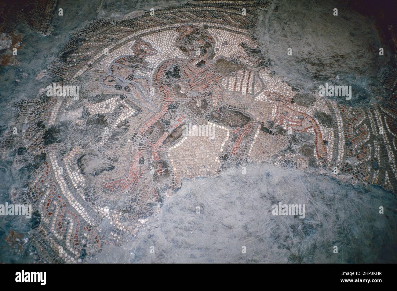 Brading Roman Villa in Brading on the Isle of Wight, one of the finest ...