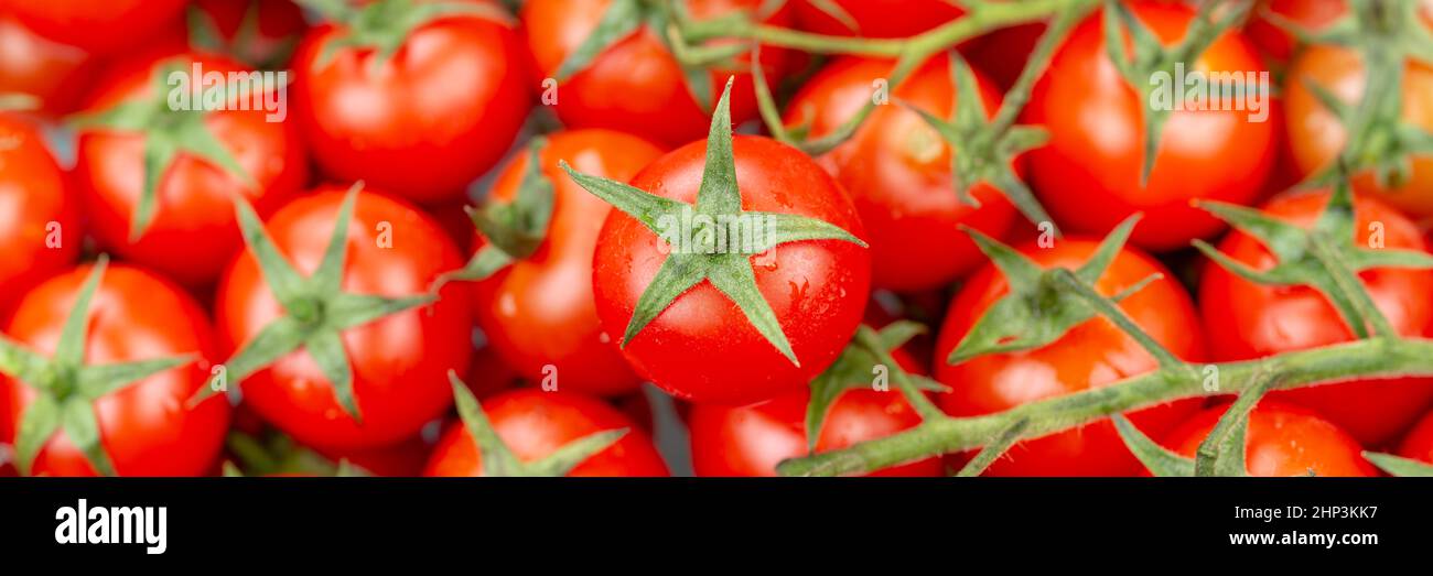 Tomato tomatoes tomatos vegetable vegetables from above panorama top ...