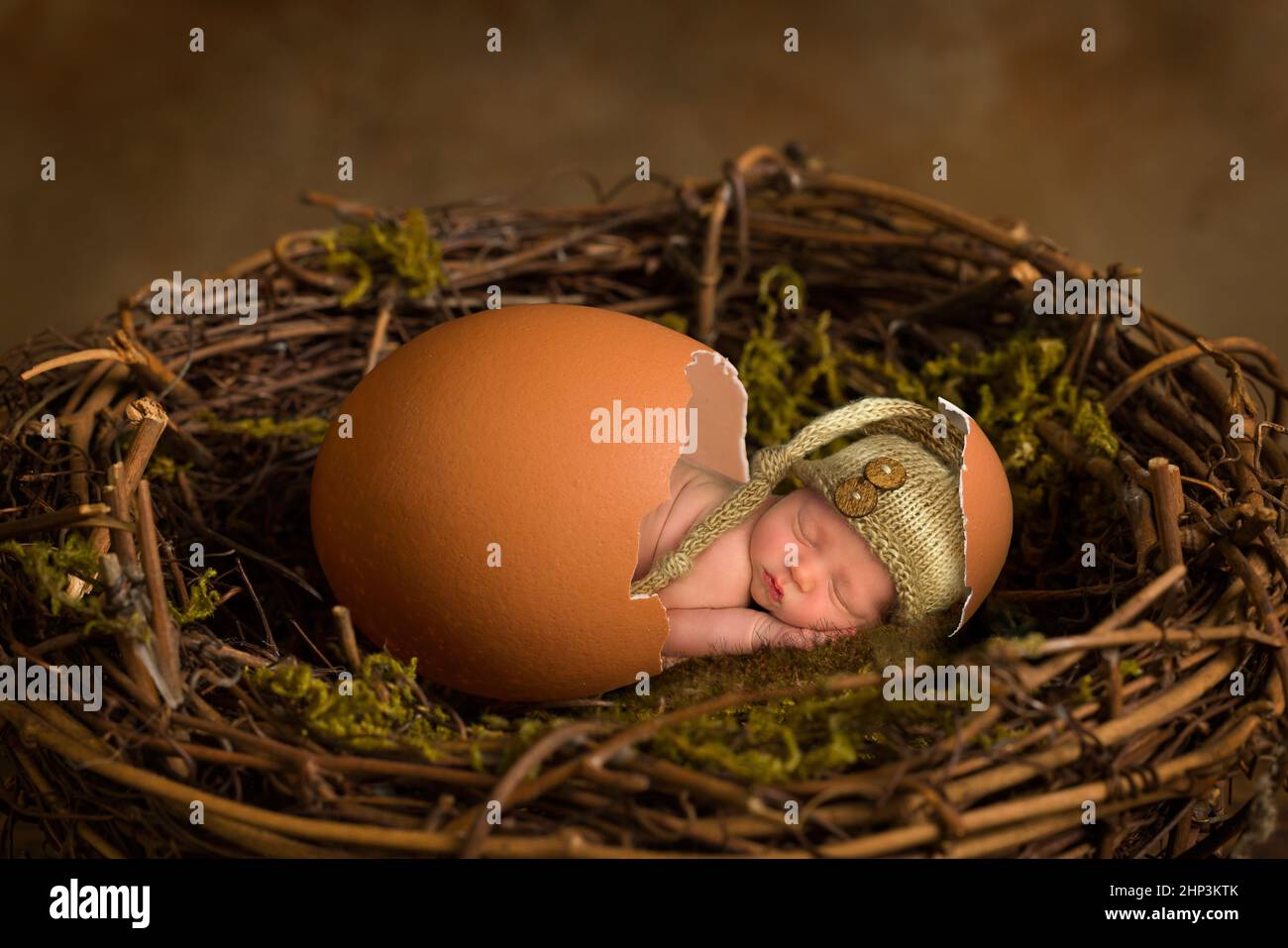 Adorable little newborn baby boy of only 11 days old sleeping in an egg ...