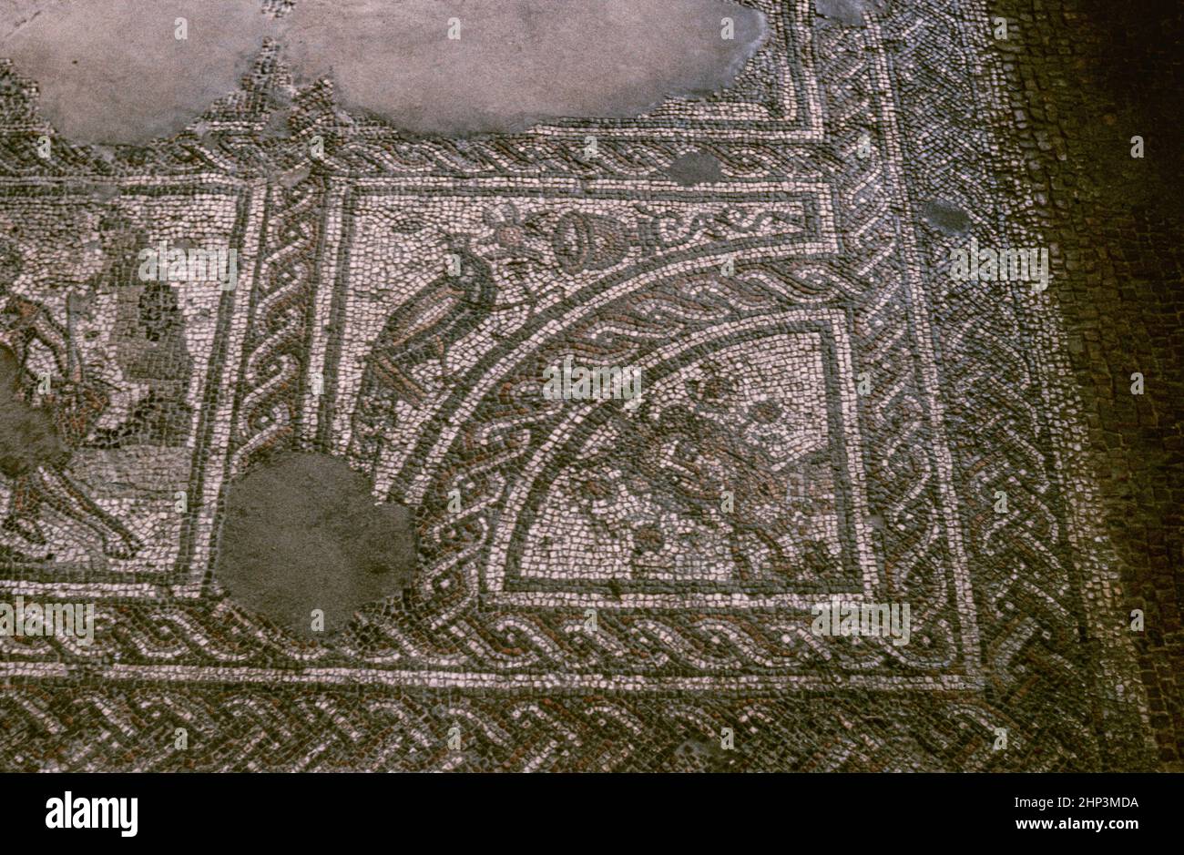 Brading Roman Villa in Brading on the Isle of Wight, one of the finest ...