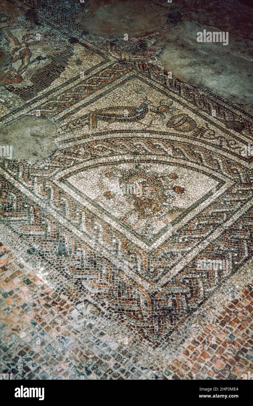 Brading Roman Villa in Brading on the Isle of Wight, one of the finest ...