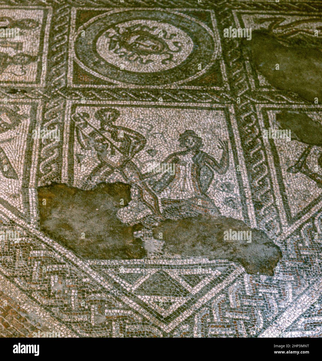 Brading Roman Villa in Brading on the Isle of Wight, one of the finest ...
