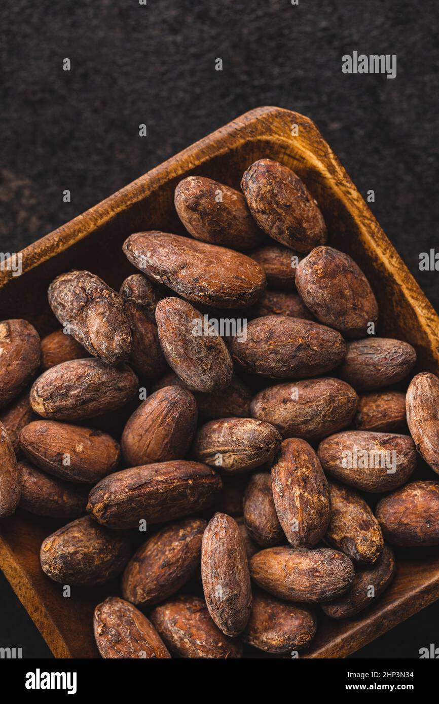 Dried cocoa beans. Cacao beans in bowl. Top view Stock Photo - Alamy