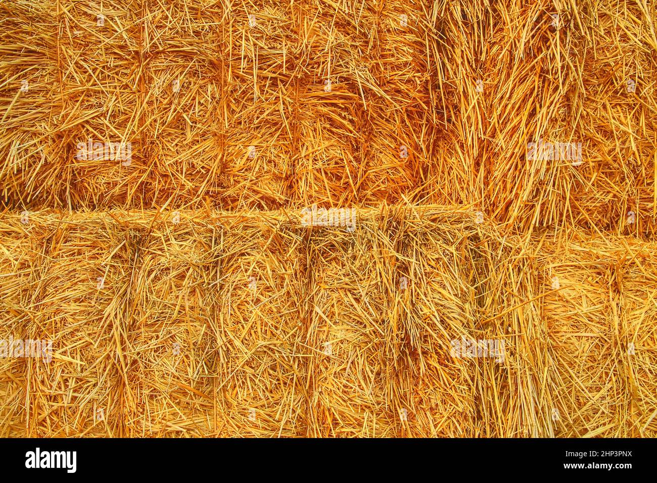 A stack of straw bales background. Close-up. Agricultural concept Stock ...