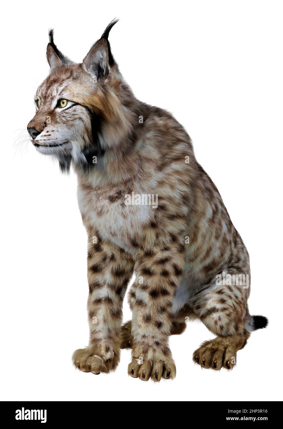 3D rendering of a wild lynx animal isolated on white background Stock ...