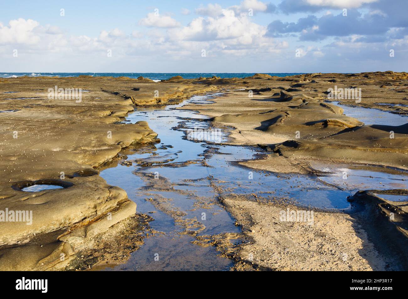 Rock platform at low tide in the Marengo Reefs Marine Sanctuary ...