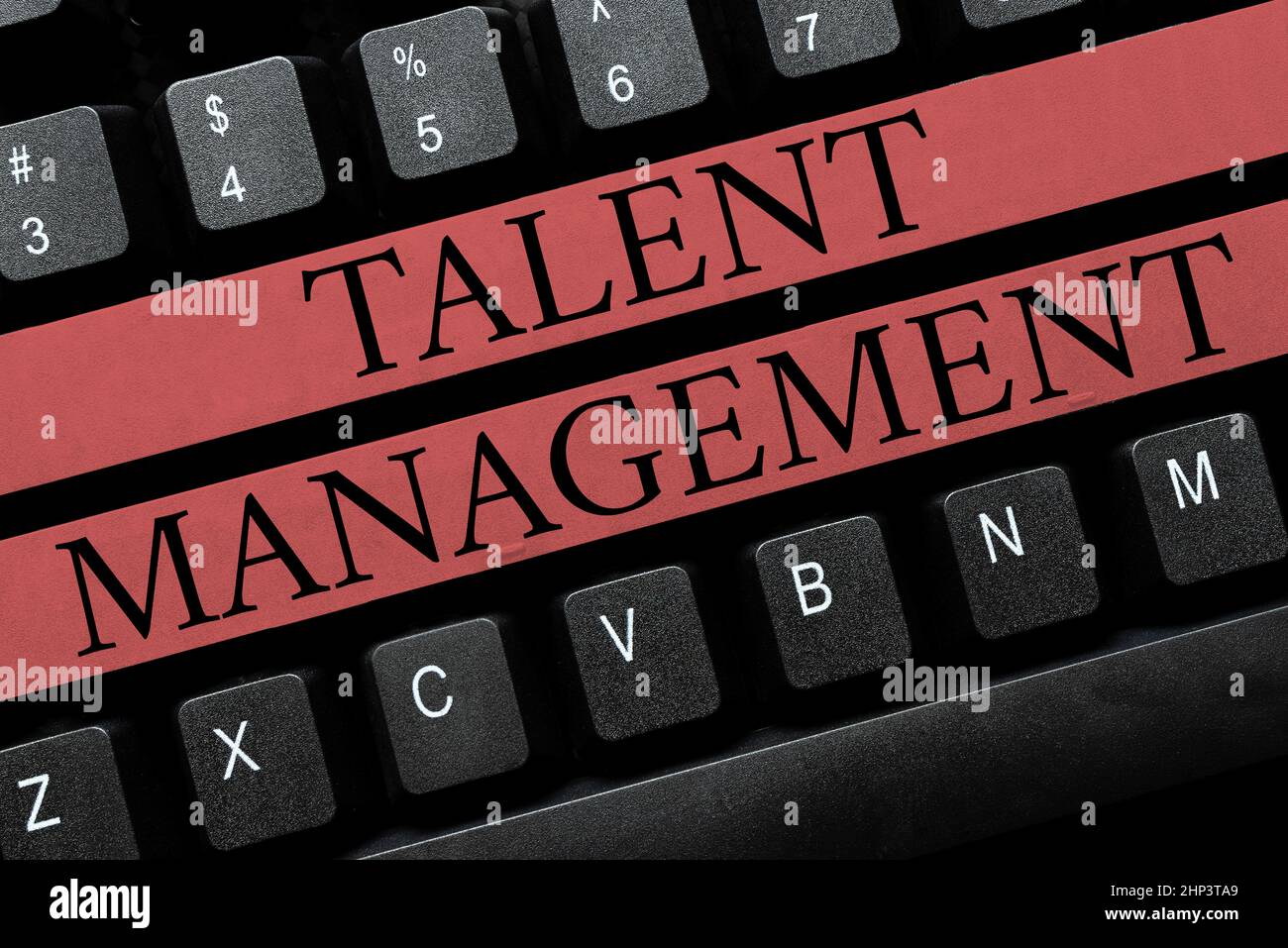 Writing displaying text Talent Management, Internet Concept Acquiring ... Writing displaying text Talent Management, Internet Concept Acquiring ...
