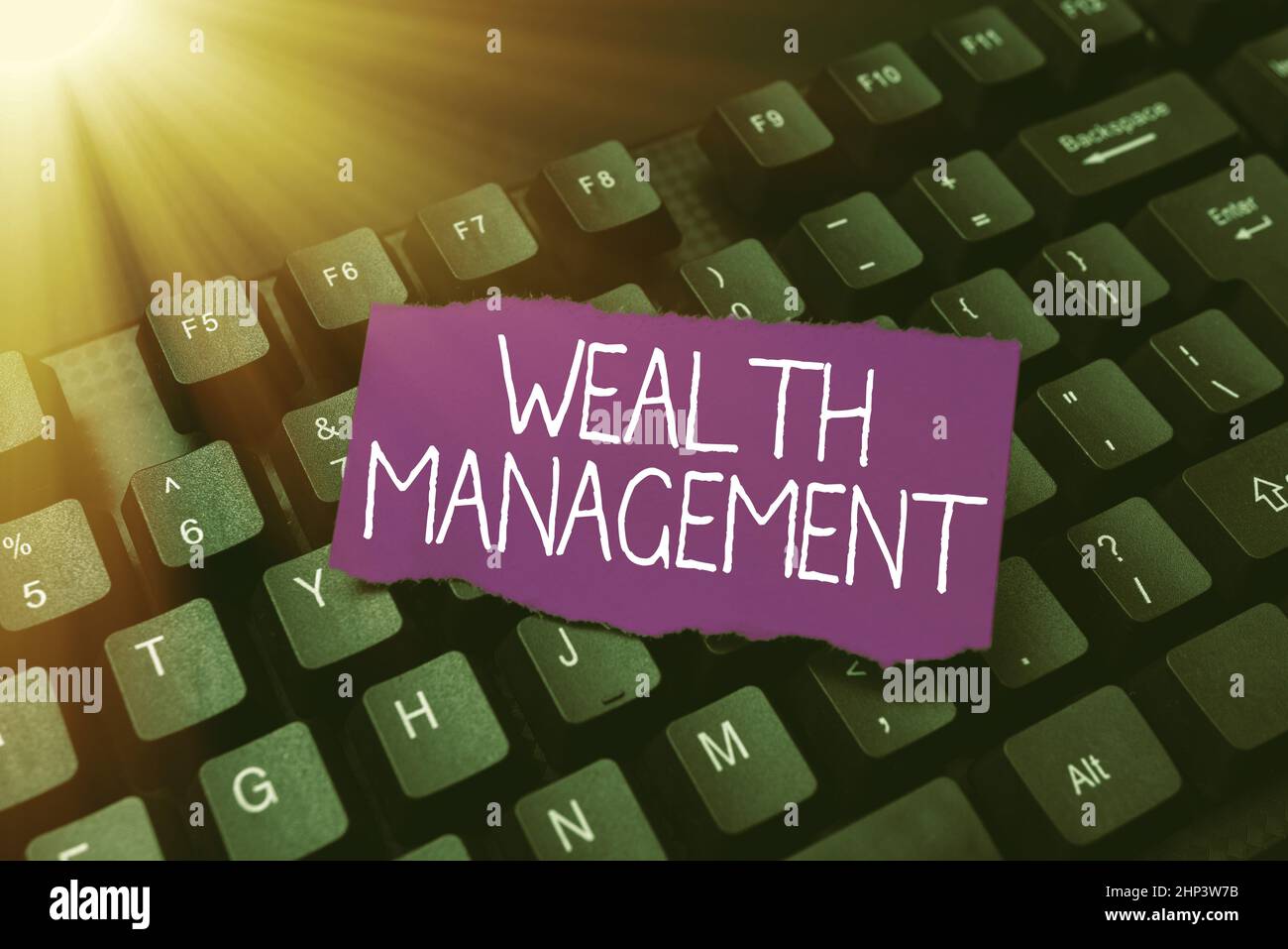 Text caption presenting Wealth Management, Word Written on Sustain and ...
