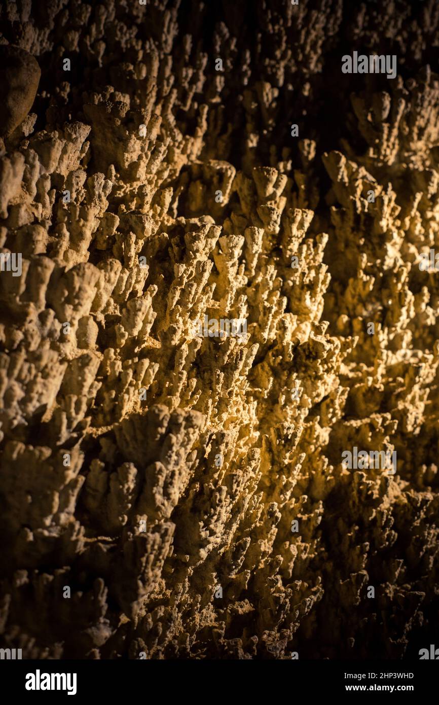 Tiny rock formations on a cave's wall Stock Photo - Alamy