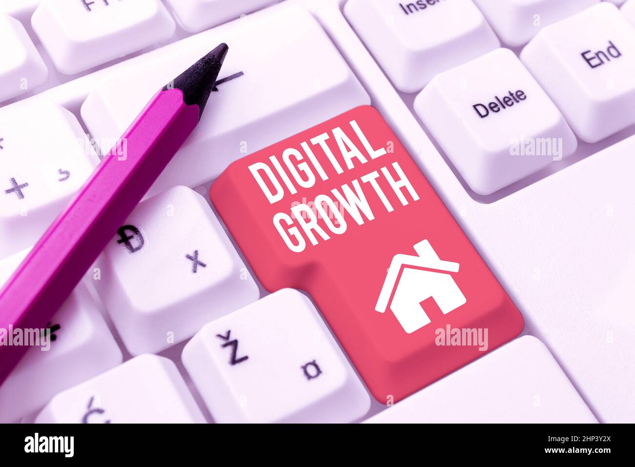 Text caption presenting Digital Growth, Business approach early stages ...