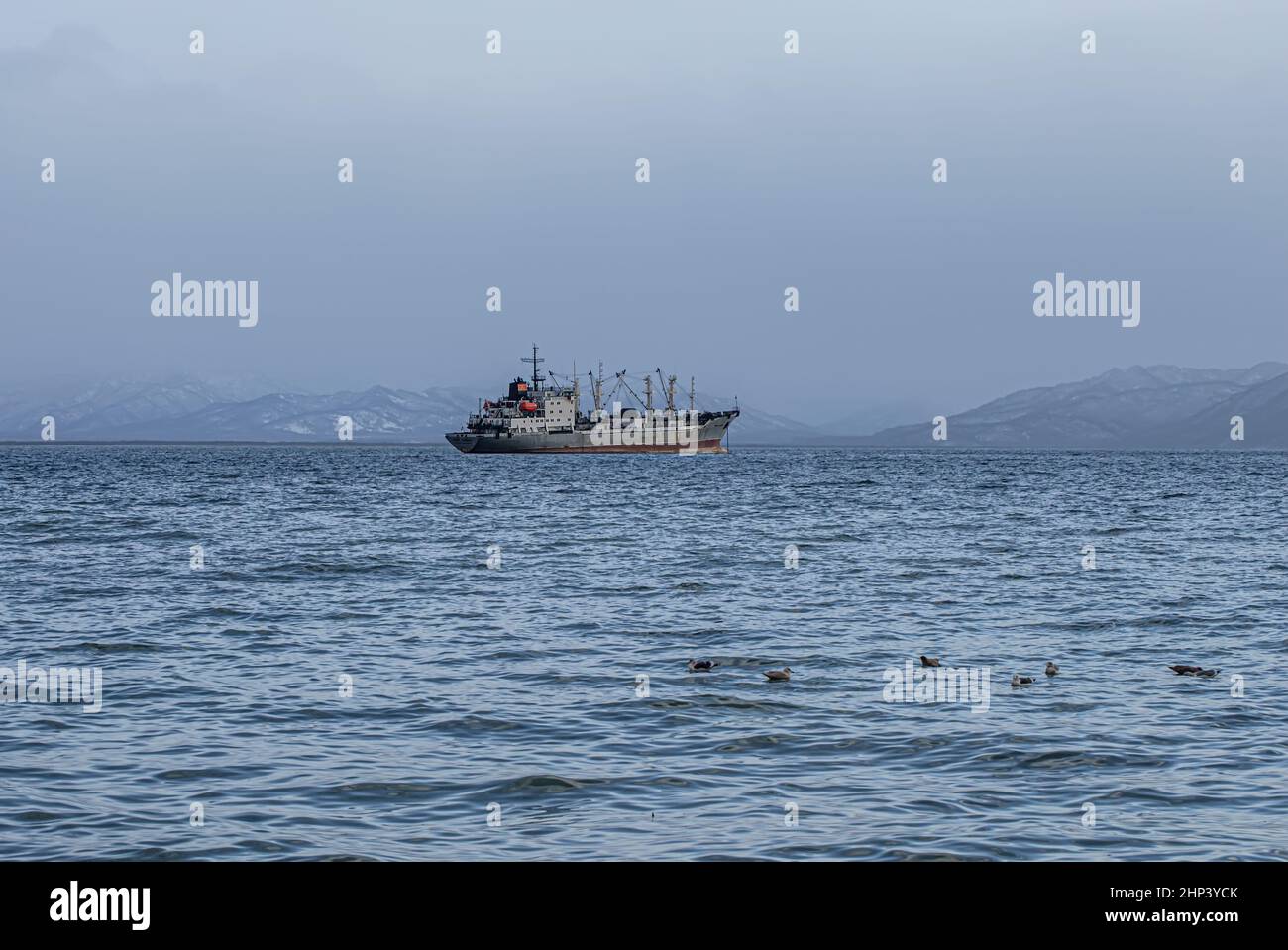 Seiners hi-res stock photography and images - Alamy