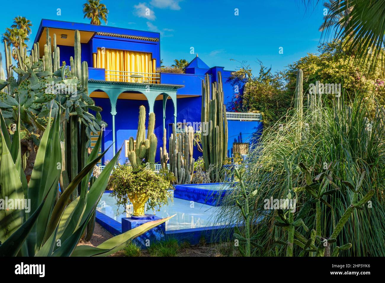 MOROCCO MARRAKESH THE MAJORELLE GARDEN حديقة ماجوريل WITH CACTI PALM ...