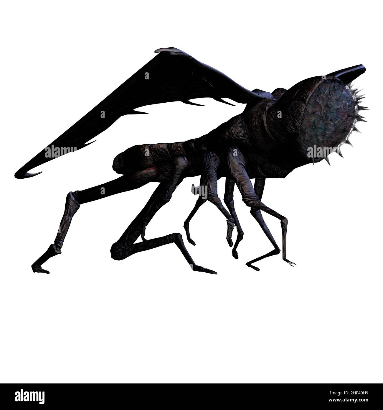 3d-illustration of a black isolated horror fantasy alien insect Stock ...