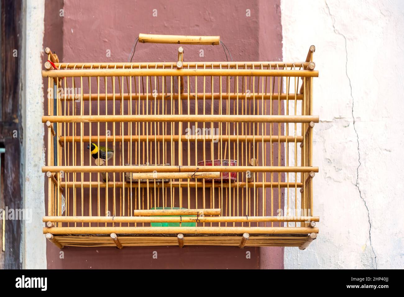 Tomeguin hi-res stock photography and images - Alamy