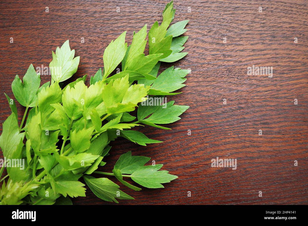 Fresh lovage leaves on hi-res stock photography and images - Alamy