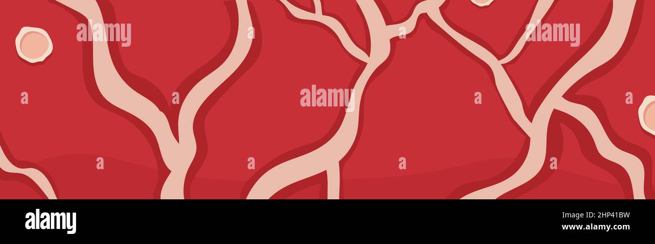Panoramic realistic meat beef background, web template - Vector ...