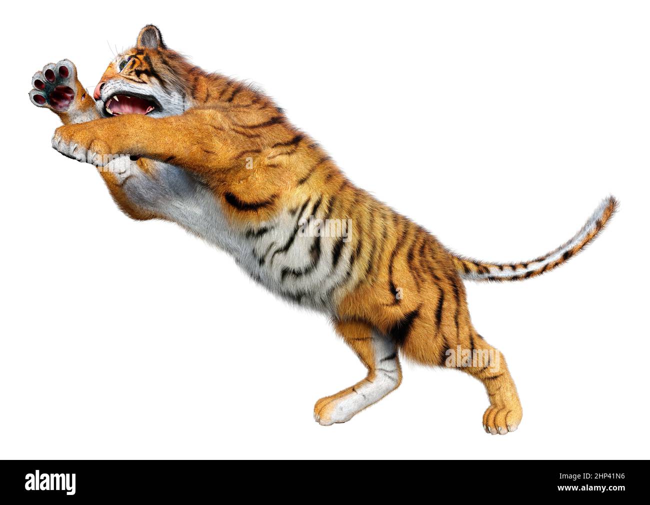 3D rendering of a big cat tiger isolated on white background Stock ...