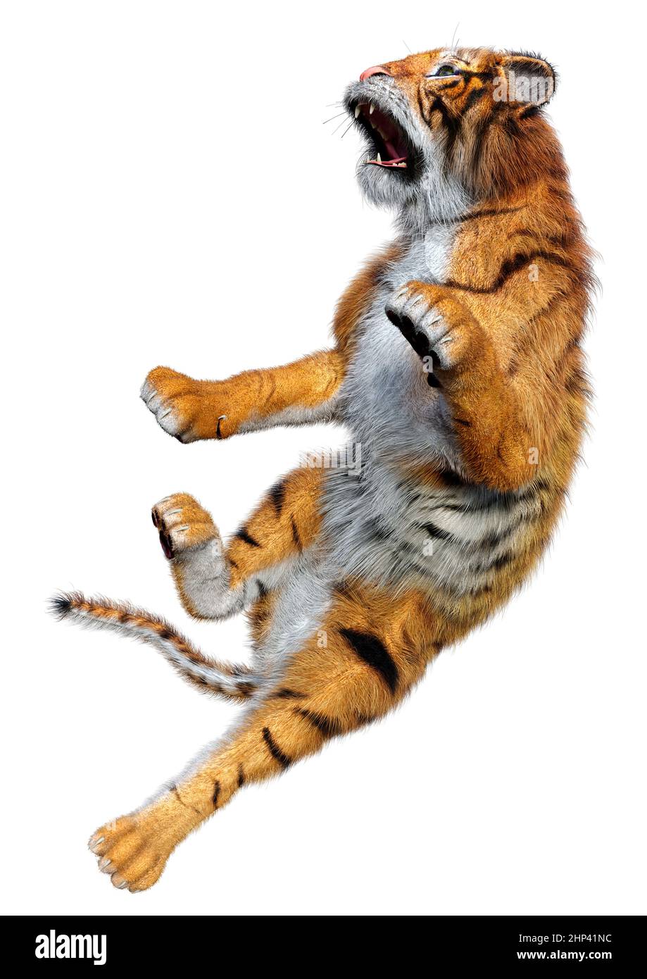 3D rendering of a big cat tiger isolated on white background Stock ...