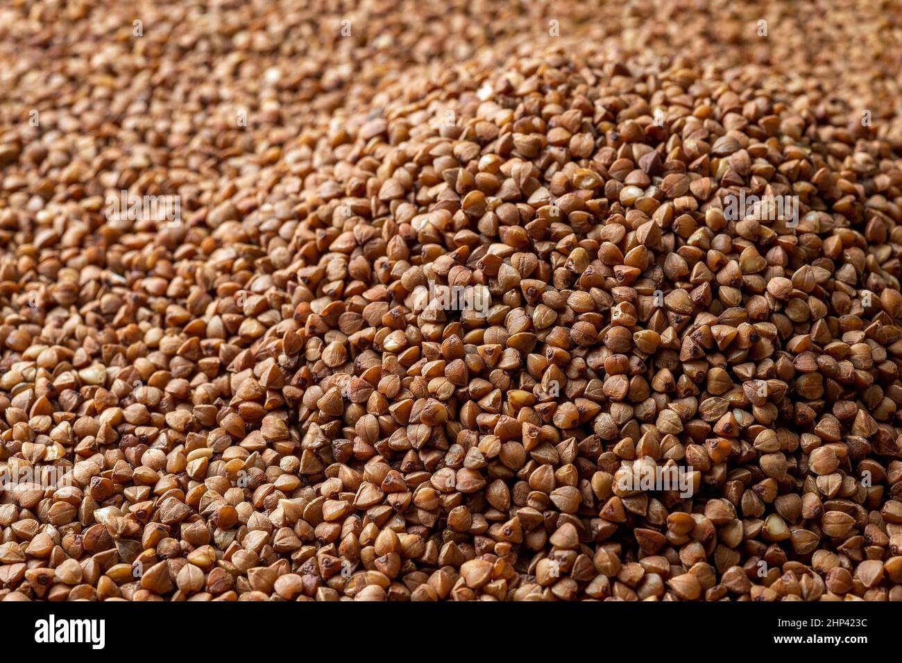 Pile of raw organic buckwheat groats as a background. Heap of uncooked ...