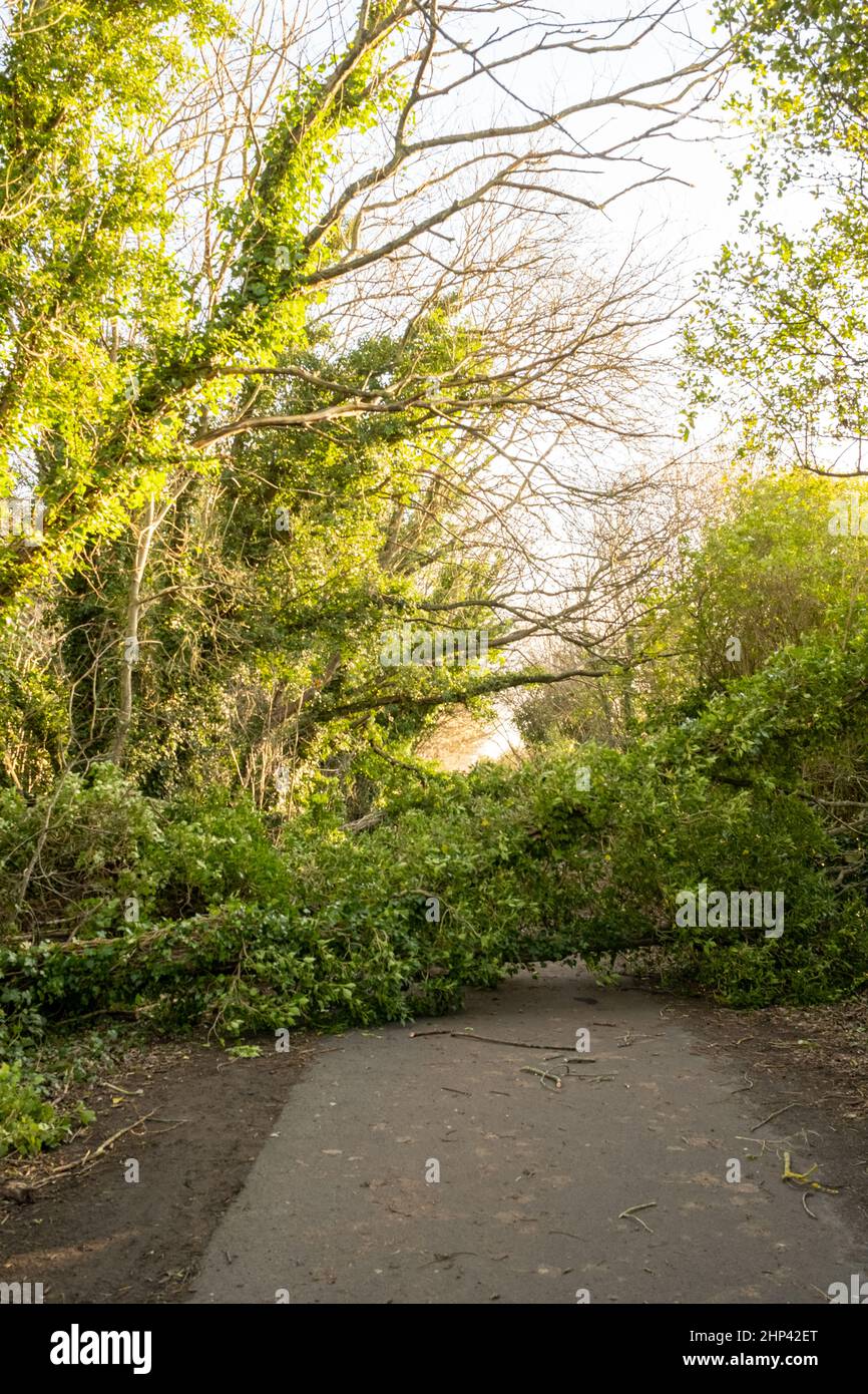 Hadrians cycleway route 72 hi-res stock photography and images - Alamy