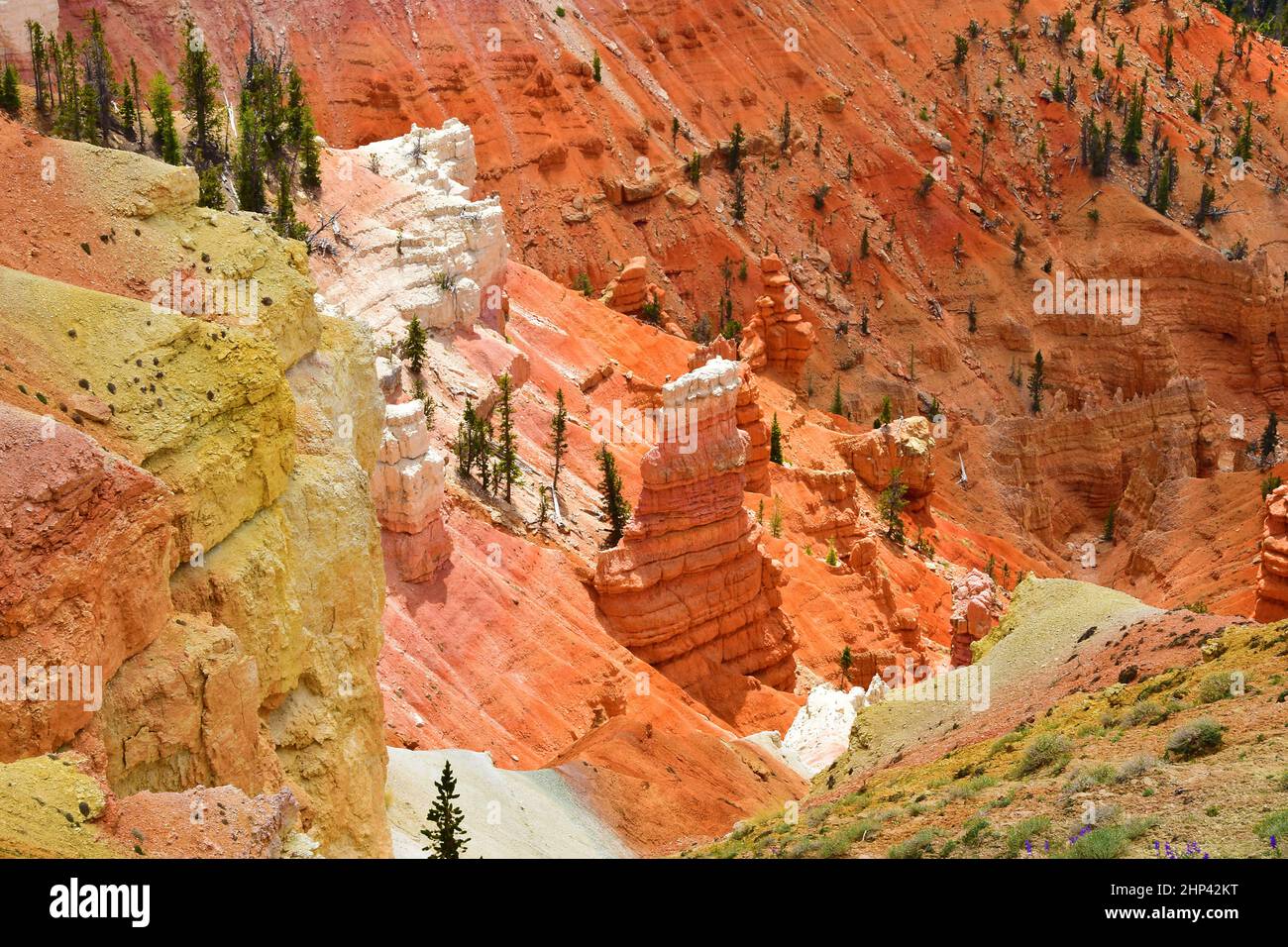 Cedar Breaks National Monument, in Southwestern Utah Stock Photo - Alamy