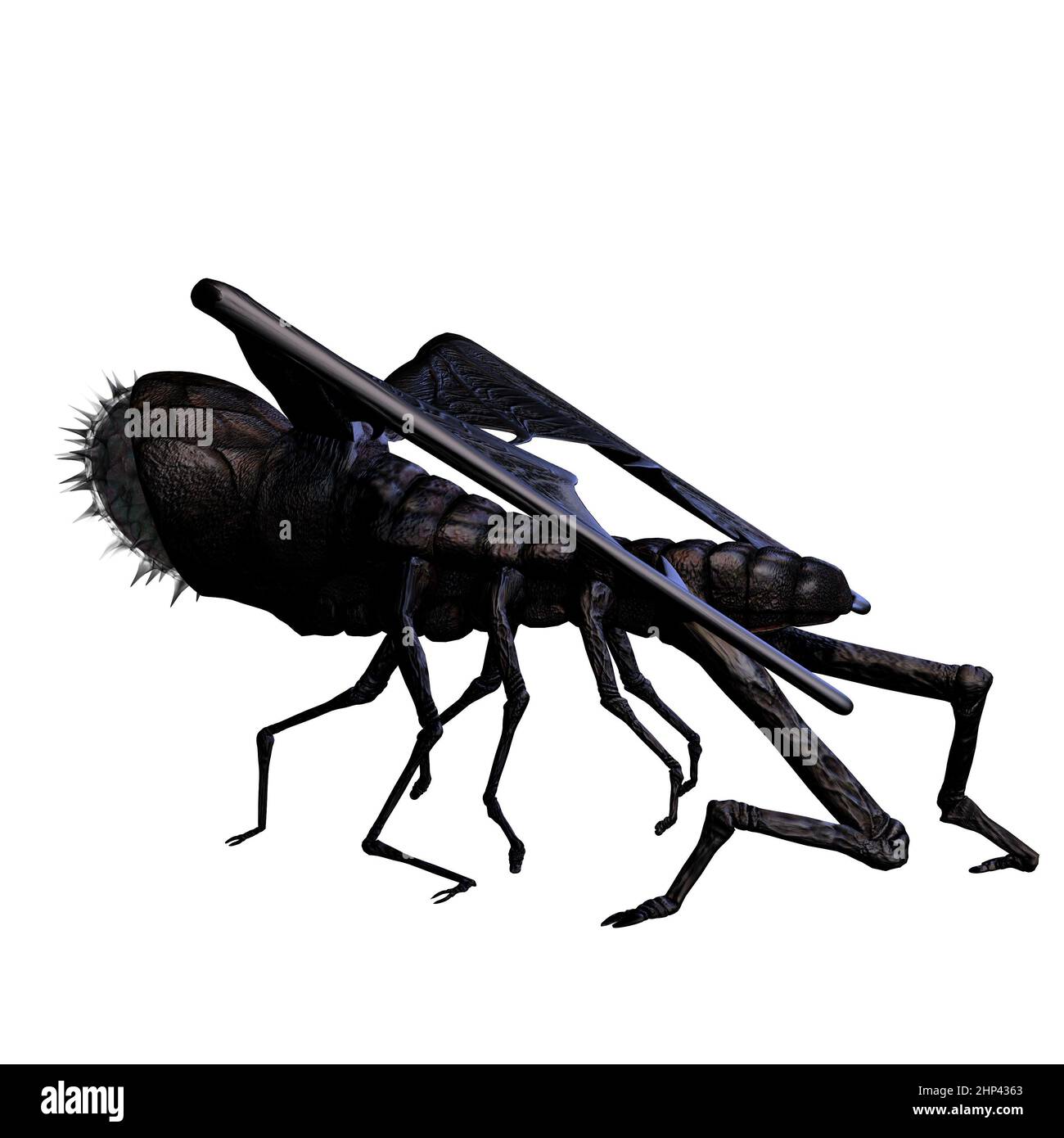 3d-illustration of a black isolated horror fantasy alien insect Stock ...