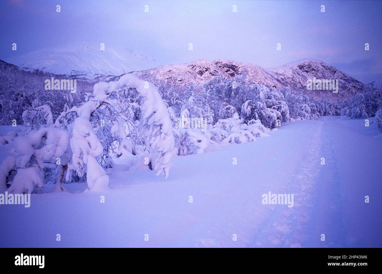 Scandinavian mountains in midwinter 1994, analog. The snowy landscape ...