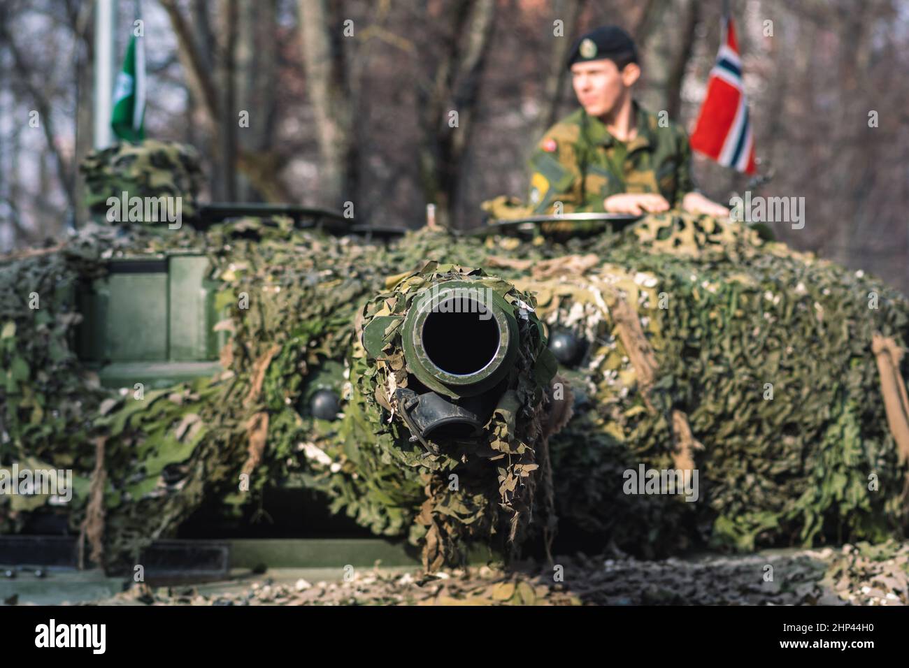 Norway gun hi-res stock photography and images - Alamy