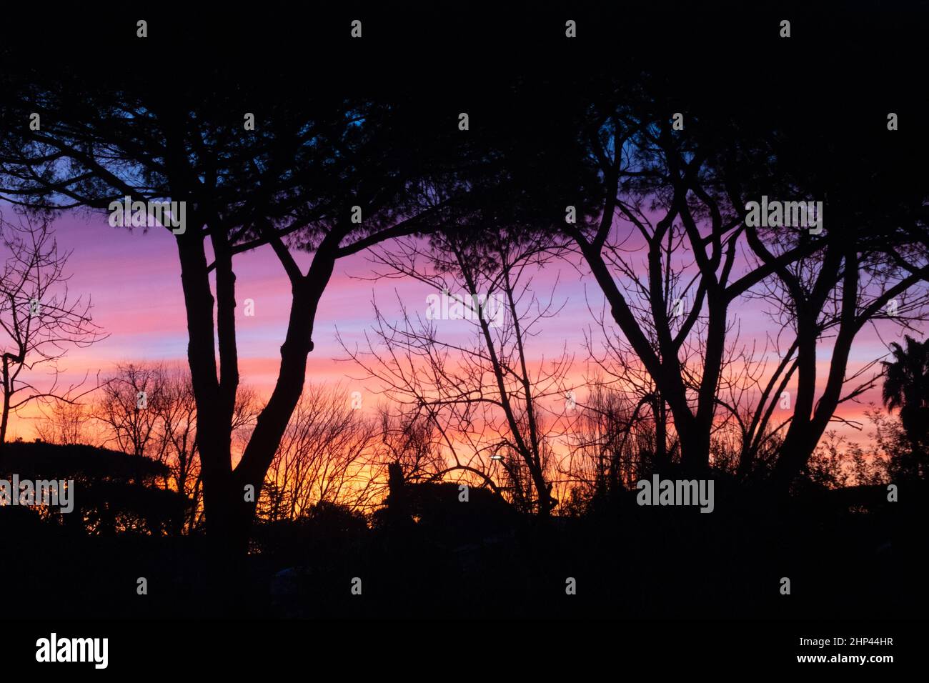 Sunrise in Rome showing pine tree silhouette Stock Photo - Alamy