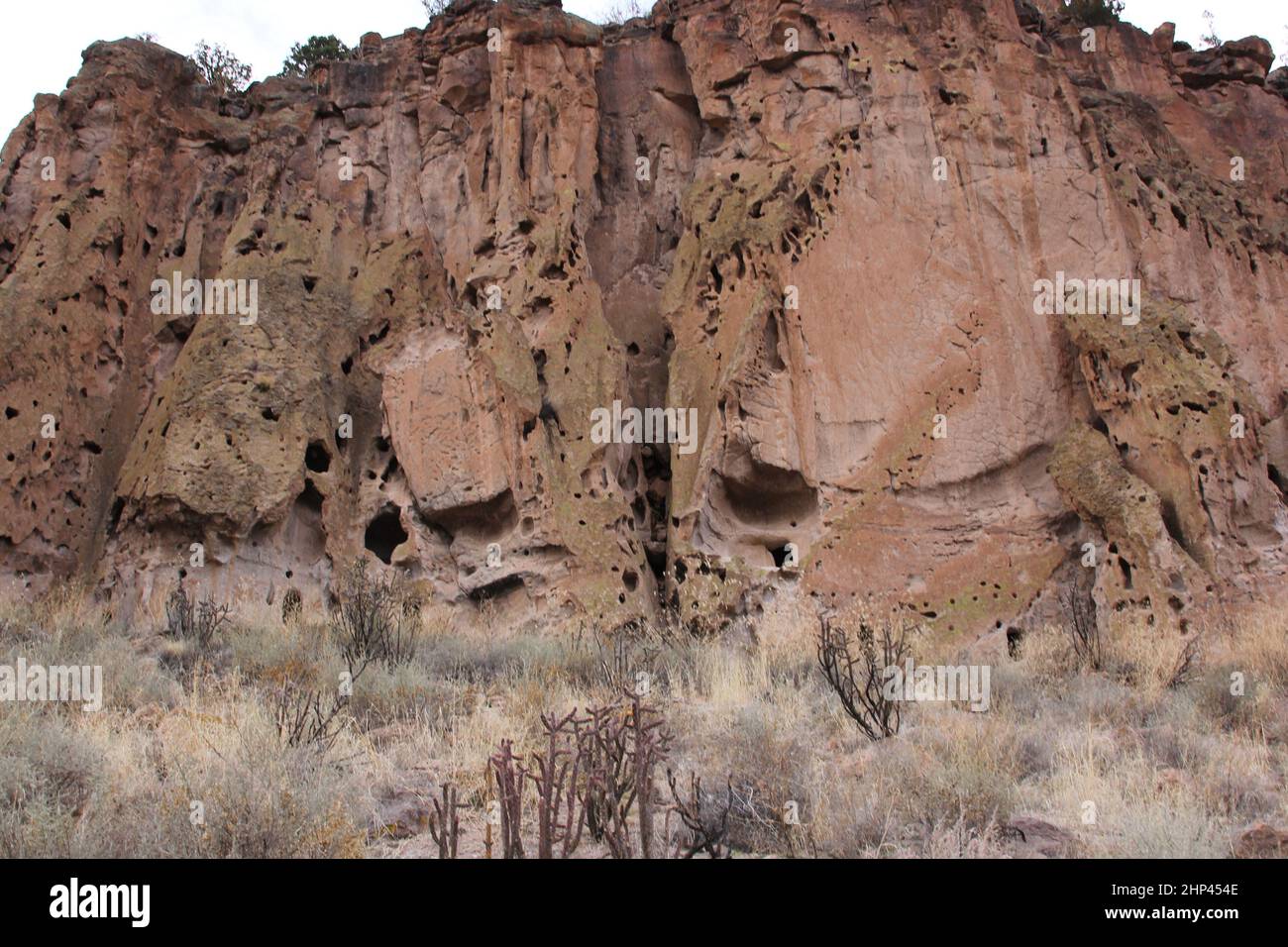 Scenic view of a red-sand desert with rough cliffs and dry plants Stock ...