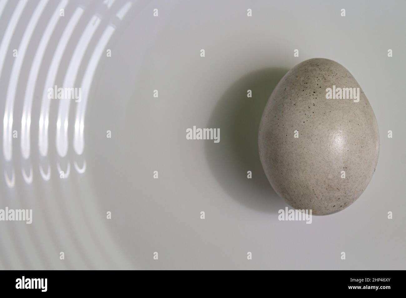 gray egg on a white plate close-up. copyspace for text Stock Photo - Alamy