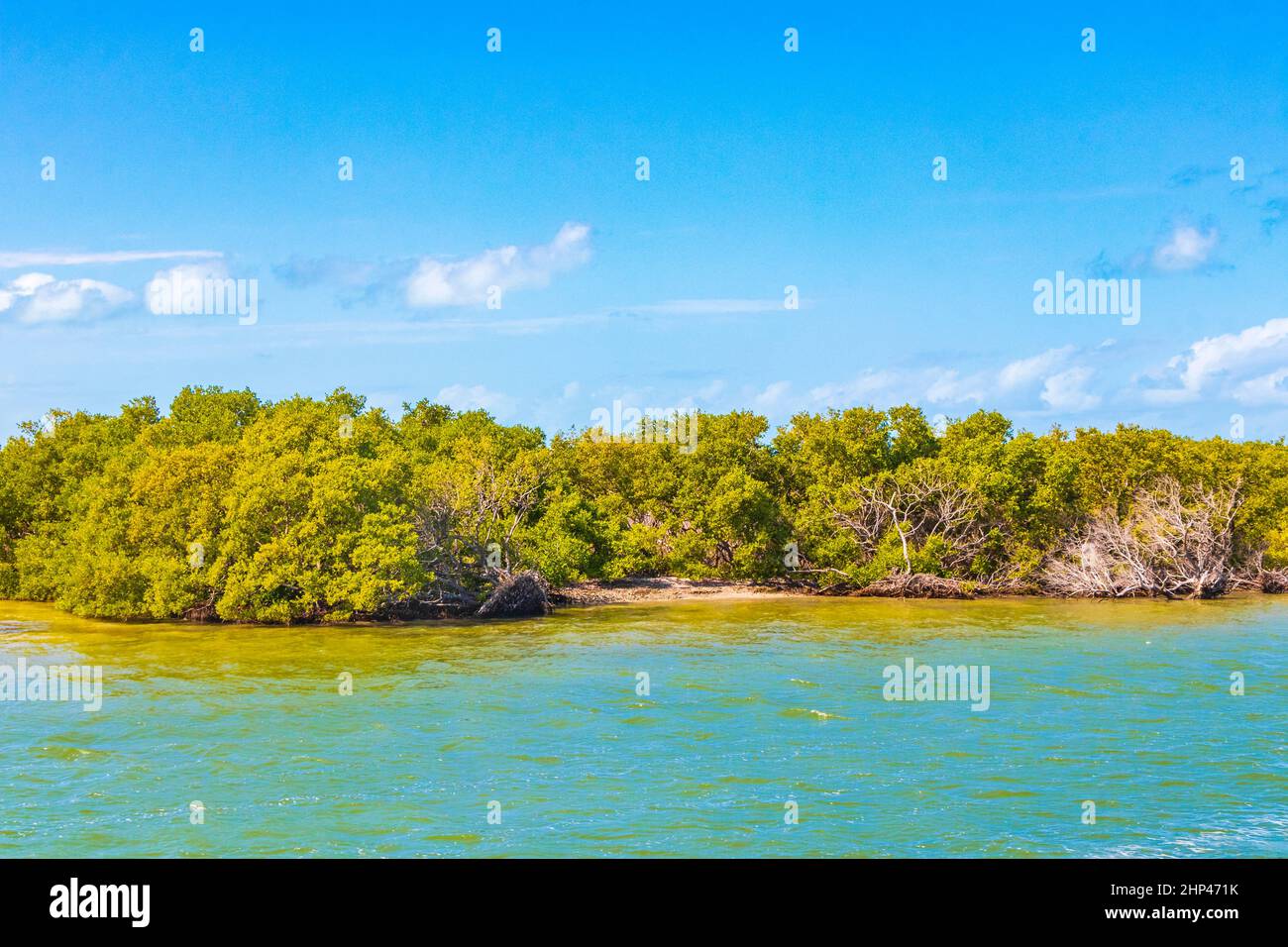Panorama landscape view on beautiful Holbox island with beach sandbank ...